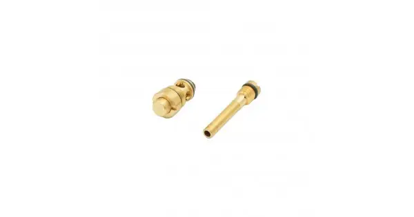 GOLDEN EAGLE INLET AND OUTPUT VALVES FOR HI-CAPA | FREE Delivery over € ...